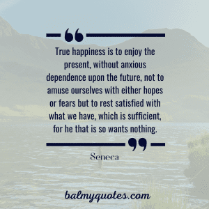 Stoic Quotes On Being Present (Embracing the Moment)