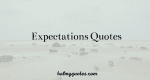 30+ Expectations Quotes For Motivation & Reflection