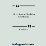 20+ Better Not to Talk Quotes (The Importance of Silence)