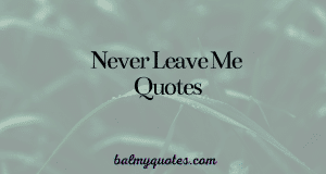 25 Best Never Leave Me Quotes - Heartfelt Sayings & Quotes