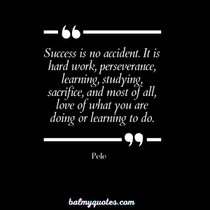 25 Best Winner Mindset Quotes (Inspirational Words to Fuel Your Success ...