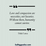 23 Inspiring Quotes On Accepting Others and Embracing Differences