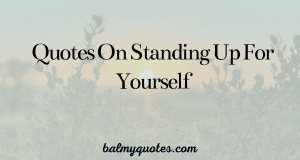 40+ Quotes On Standing Up For Yourself (Inspiring, Sarcastic & Funny)