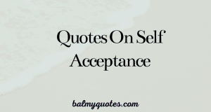20+ Inspiring Quotes On Self Acceptance ( Love Yourself)