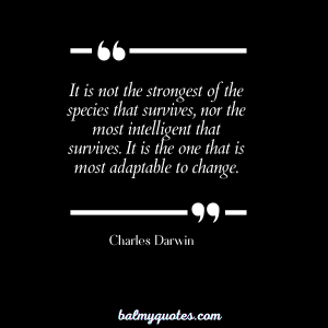 30+ Powerful Famous Quotes on Change for Inspiration