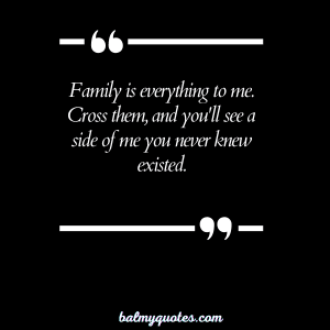 30+ Powerful Don't Mess With My Family Quotes » Balmy Quotes