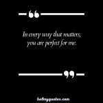25+ You Are Perfect for Me Quotes For Your Loved One