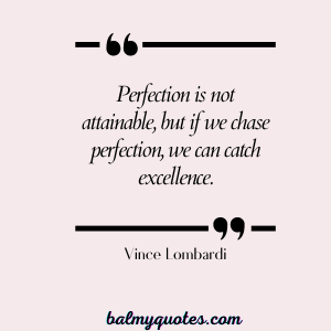 30+ No One Is Perfect Quotes (Embracing Imperfection with Wisdom)