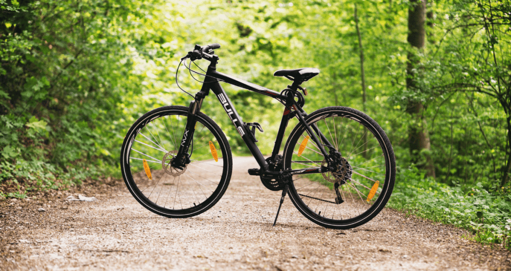 Life is Like Riding a Bicycle To Keep Your Balance You Must Keep Moving
