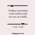 30+ Everything Is Temporary Quotes (Find Comfort In Change)