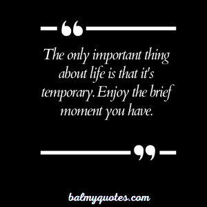 30+ Everything Is Temporary Quotes (Find Comfort In Change)